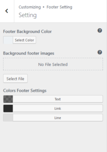 Footer Settings - Customization - ThimPress Docs