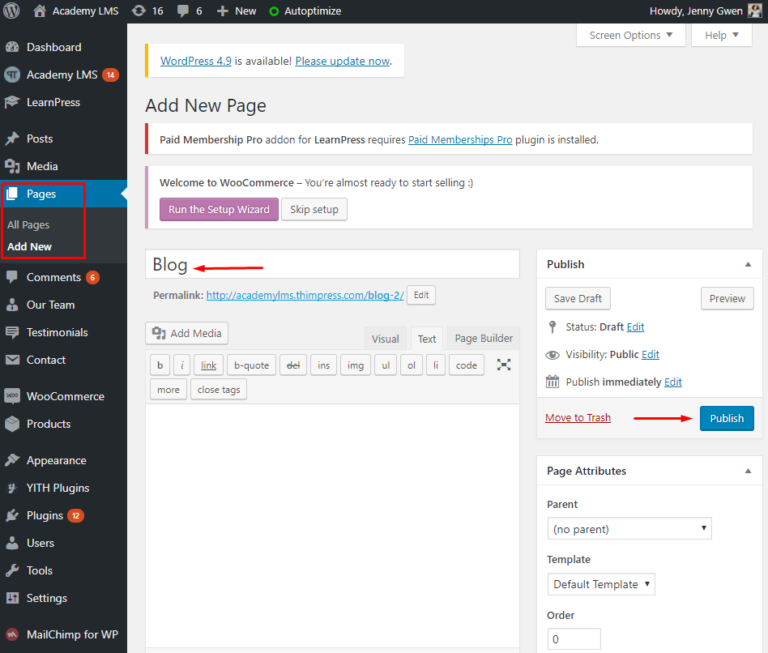Setting Up Blog - AcademyLMS - ThimPress Docs