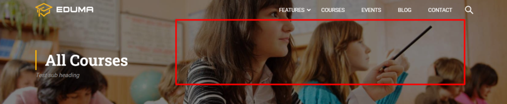 Course - Customize - ThimPress Docs