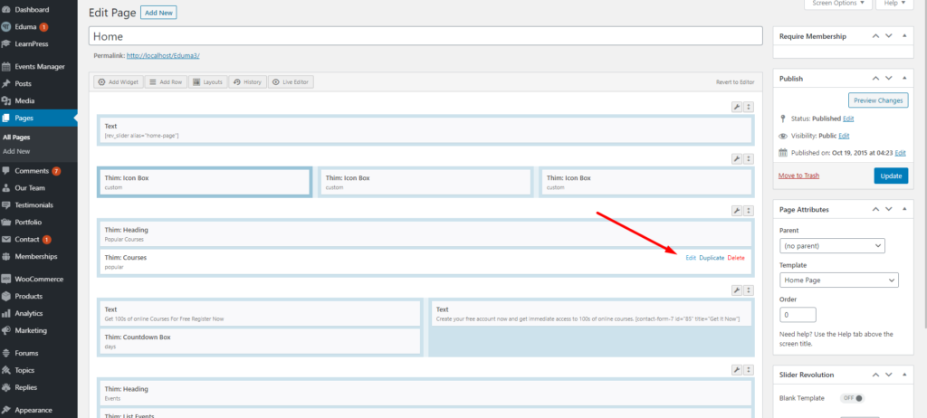 Home Page - Edit With Site Origin Page Builder - ThimPress Docs
